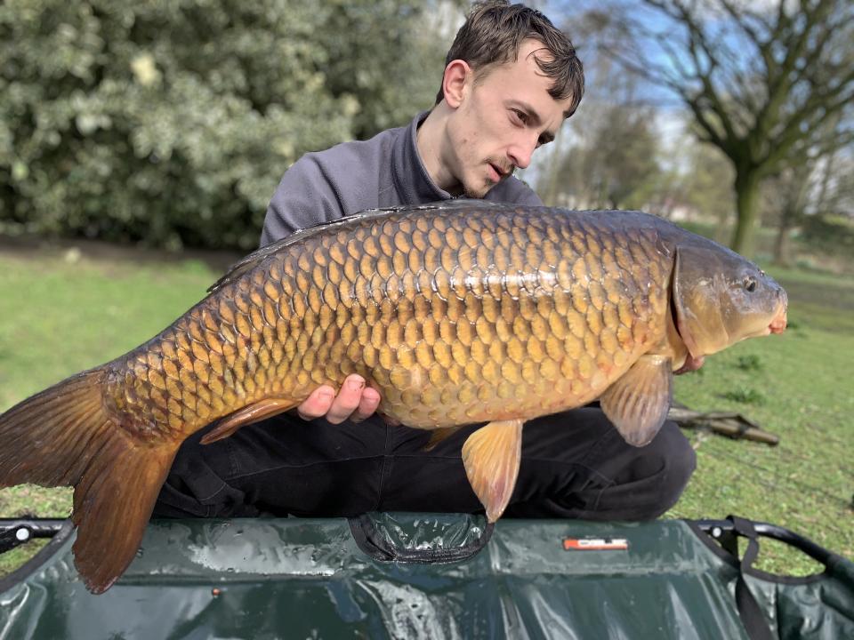 Park lake common | Total Carp